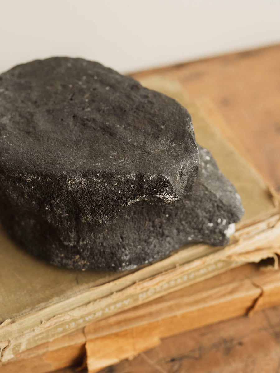 7" Fossilized Whale Vertebrae, RM1827 – Black Moth