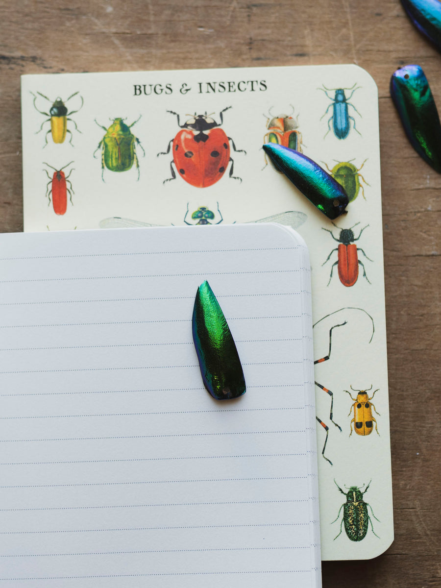 Lined Paper Mini Bugs and Insects Notebook, ST0103 – Black Moth