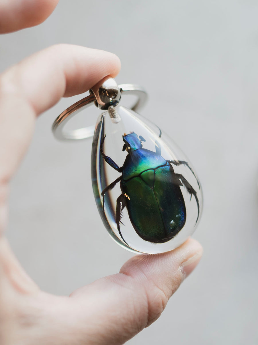 Beetle Keychain, IN1306 – Black Moth