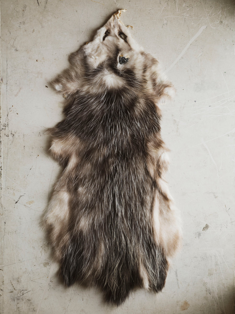 Opossum Pelt, TA63 – Black Moth