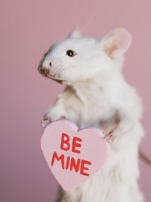 February 14th 2026 Valentines Mouse Taxidermy Class, CE214 – Black Moth