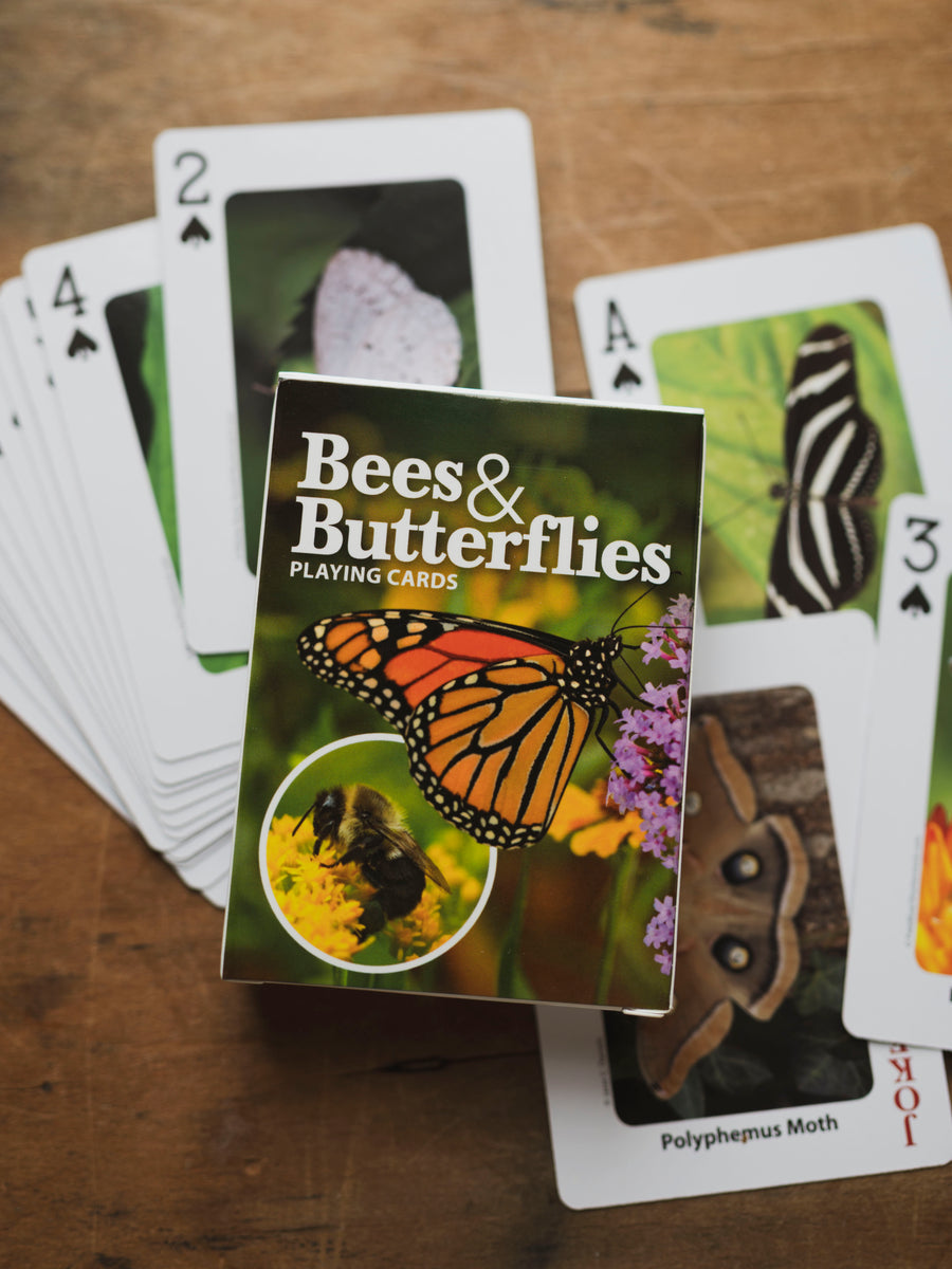 Playing Cards, BO106 – Black Moth